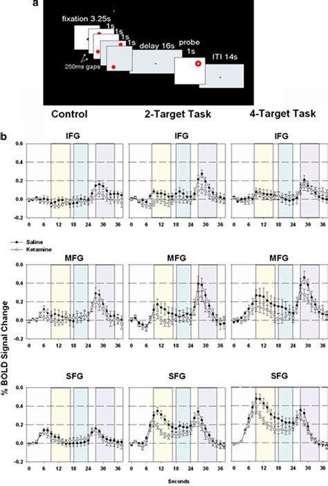 spatial working memory wm task 4 target version b regions of download scientific diagram