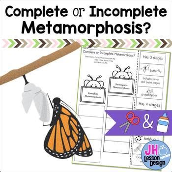 Complete Metamorphosis Teaching Resources Teachers Pay Teachers