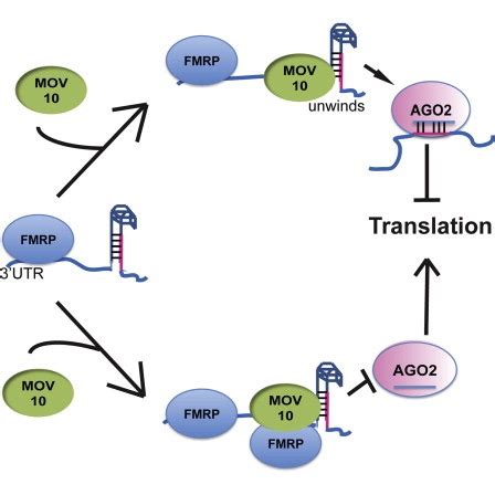 Set Up And Overview For Gene Level Differential Expression Analysis