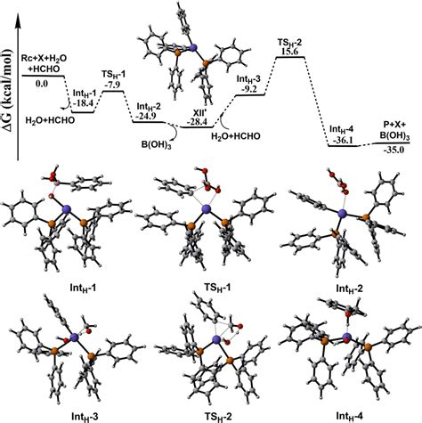 density functional theory dft computed energy surface and optimized download scientific