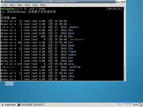linux操作命令（一） 蓝桥云课