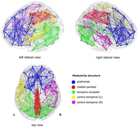 graph based deep learning approaching a true “neural” network by mark cleverley medium