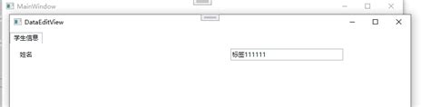 WPF MVVM模式实现DataGrid编辑 wpf datagrid mvvm CSDN博客