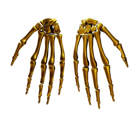 3d Rendering Of Gold Golden Human Palm Hand Bones Perspective View