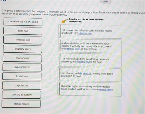 Solved Complete Each Sentence By Dragging The Proper Word To Chegg