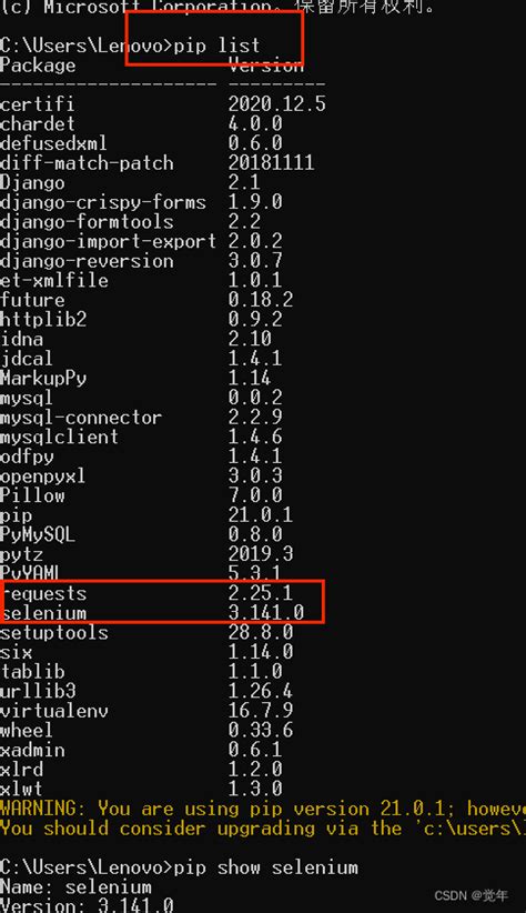 no module named ‘selenium‘ 如何解决， no module named selenium csdn博客