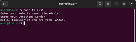 read user input into a variable in bash