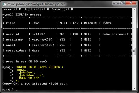 sql for beginners