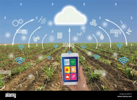 Iot Based Smart Farming