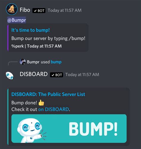 GitHub Ragxxv Bumpr Discord Selfbot In Python Auto Bumps Through