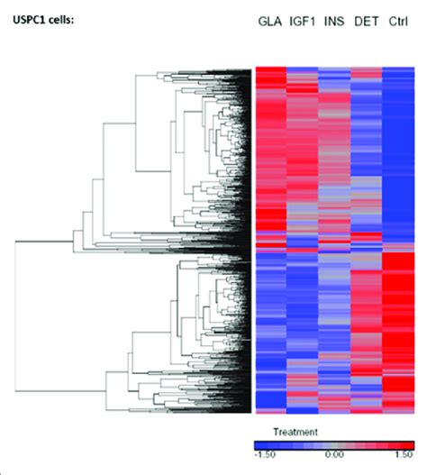 hierarchical clustering map of differential gene expression in uspc 1 download scientific