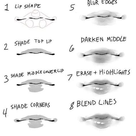 The Different Types Of Mustaches That Are Used To Create Your Own