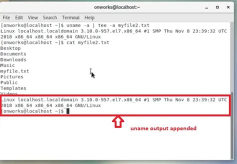 How To Redirect Bash Output To A File Delft Stack