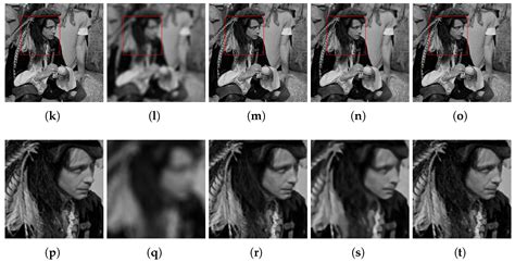 fractal fract free full text a fractional order fidelity based total generalized variation