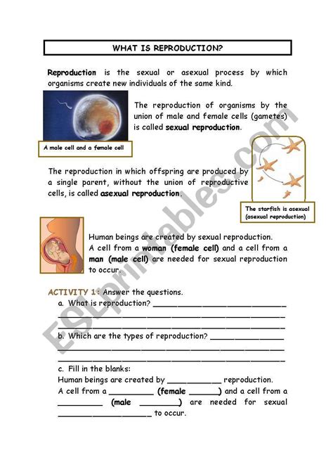 Science Unit What Is Reproduction 4th Grade Part 24 Esl Worksheet By Nosolohoy