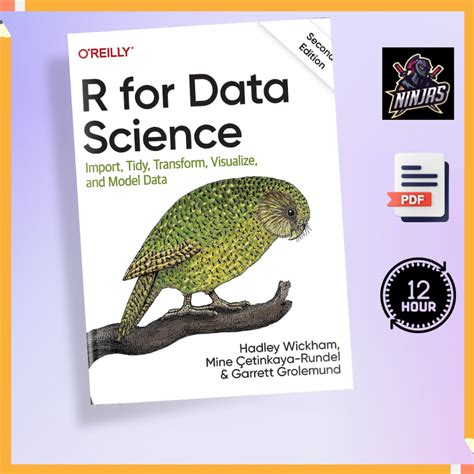 Data Science R For Data Science Import Tidy Transform Visualize