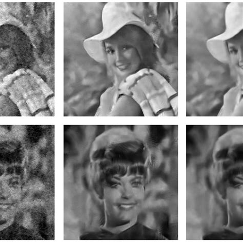denoising results τ 90 of elaine and zelda from left to right download scientific diagram