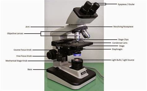 Biology For Technologist Lab 1 Principles And Use Of Microscope
