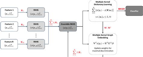 the proposed multiple kernel sparse learning framework for multiclass download scientific