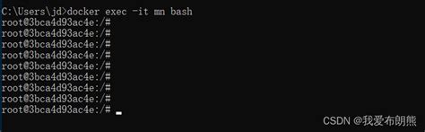 docker——容器命令介绍、创建nginx容器与redis容器 docker run name some nginx d p 8080 80 some co csdn博客
