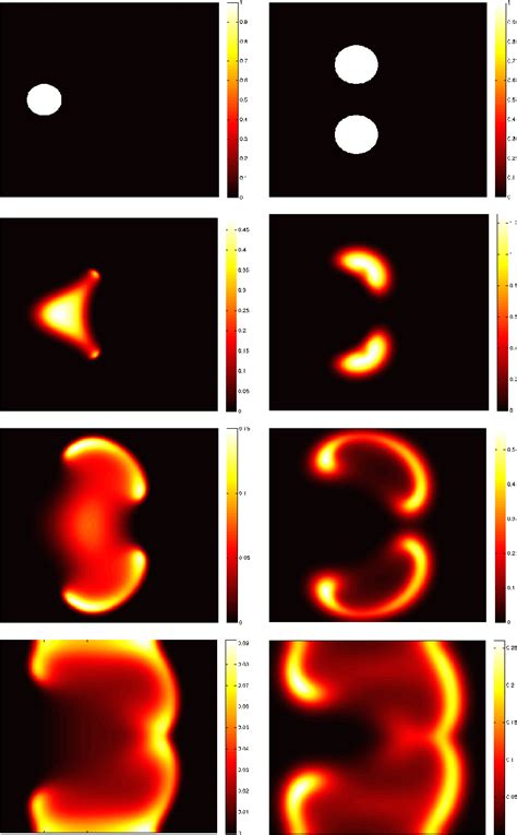 figure 1 from a reaction diffusion predator prey model with pursuit evasion and nonlocal