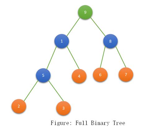 types of binary tree tutorialcup