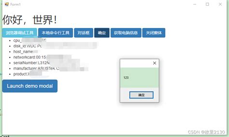 cefsharp实战演示 csdn博客