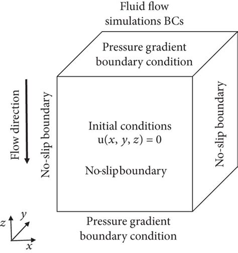 schematic representation of the boundary conditions and initial download scientific diagram