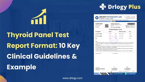 Thyroid Panel Test Report Format Key Clinical Guidelines Example