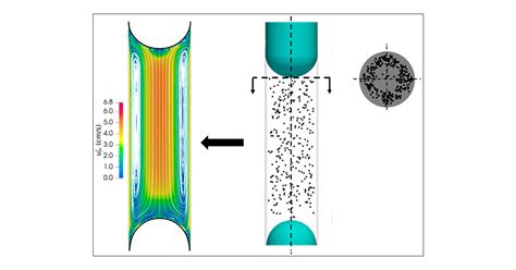three dimensional vof dem model for simulating particle dynamics in the liquid slugs of a