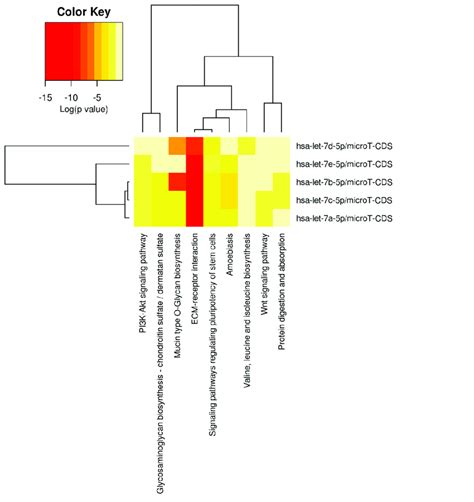 a hierarchical clustering analysis utilizing the 20 samples of the download scientific