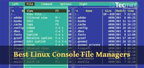 Vifm A Commandline Based File Manager With Vi Keybindings For Linux