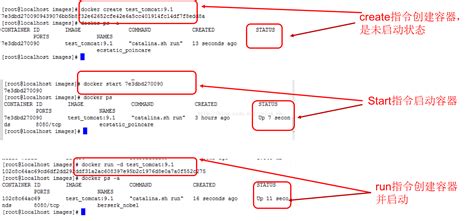 docker入门与实战讲解 无根生 csdn博客