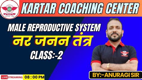Male Reproductive System नर जनन ततर Male reproductive system