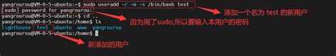 linux创建新用户（ubuntu） yangrourou 博客园