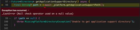 flutter flutter unhandled exception null check operator used on a hot sex picture