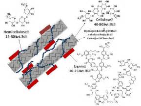 Schematic Representation Of The Composition Of Lignocellulosic Biomass