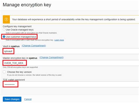 How To Use Customer Managed Tde Encryption Keys On Vm Db Systems In Oracle Cloud Database