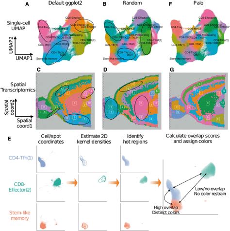 Visualization Of Single Cell RNA Seq Data With Default Ggplot2 Palette