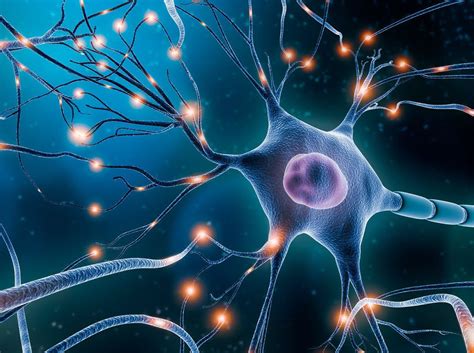 How Our Brain Adapts To New Languages