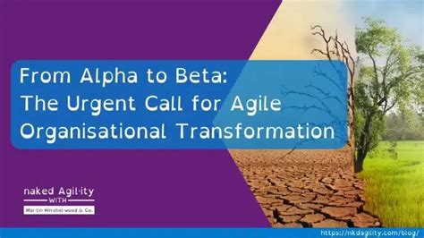 Alpha To Beta The Urgent Call For Agile Organisational Transformation