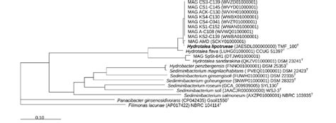 Phylogenetic Reconstruction Based On 1 080 Concatenated Core