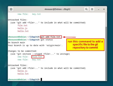 A Comprehensive Guide On How To Git Add All Files Best Methods