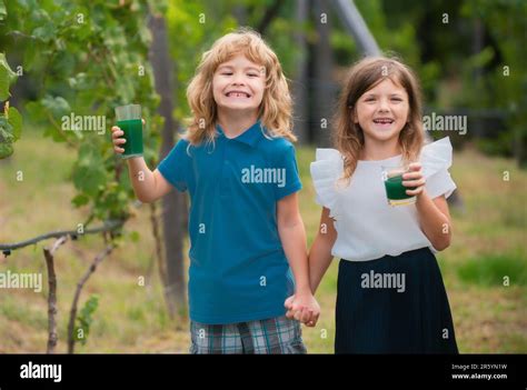 Zwei Kinder trinken grünen Smoothie im Sommer Park Bruder und