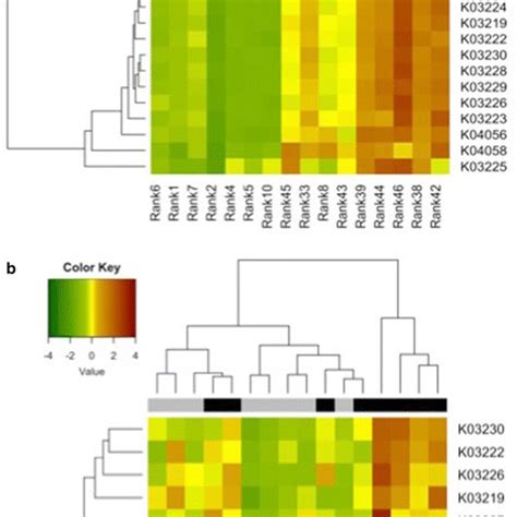 Z Score Based Hierarchical Clustering Of Bacterial T3SS Genes