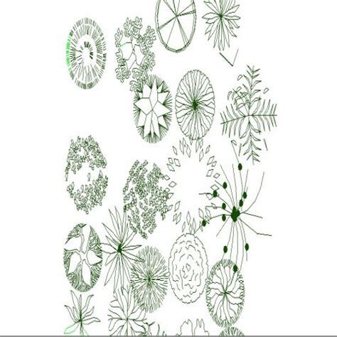 Trees And Plant Cad Blocks