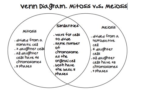 Venn Diagram Of Meiosis And Mitosis