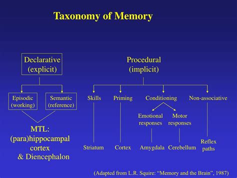 PPT Distinct Memory Systems Mediating Declarative Emotional And