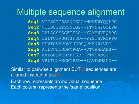 ppt pairwise and multiple sequence alignment lesson 2 powerpoint presentation id 1316185