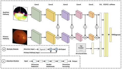 multi modality fusion learning for the automatic diagnosis of optic neuropathy z cao